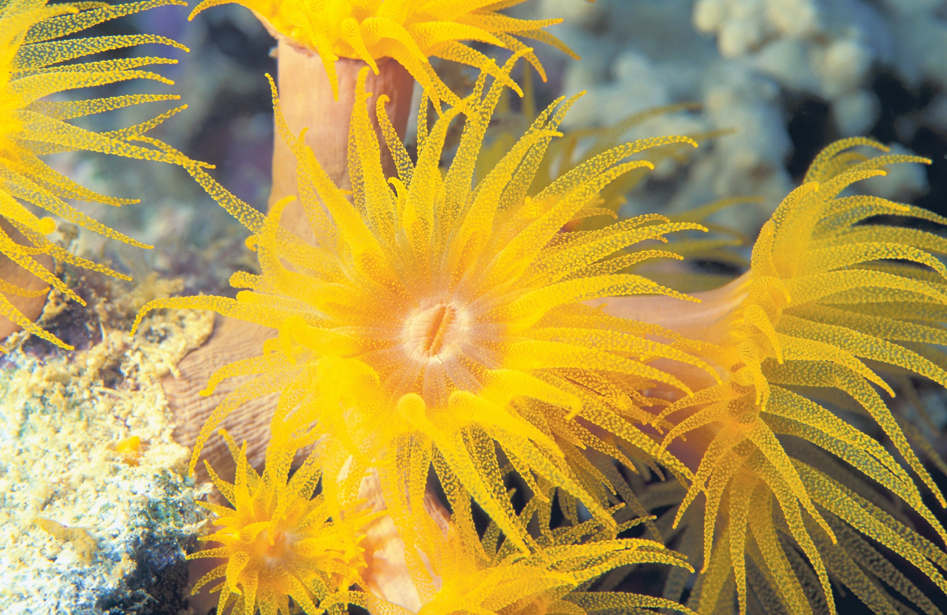 Home - Cefas (Centre for Environment, Fisheries and Aquaculture Science)